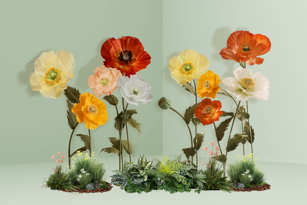 Poppy Passion – hanaformcollections